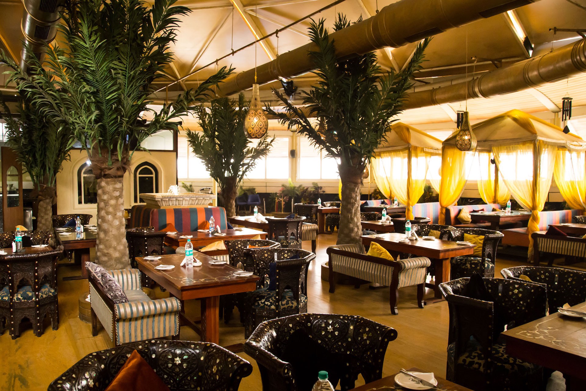 Opa! Bar & Cafe | Discover Nightlife Around You